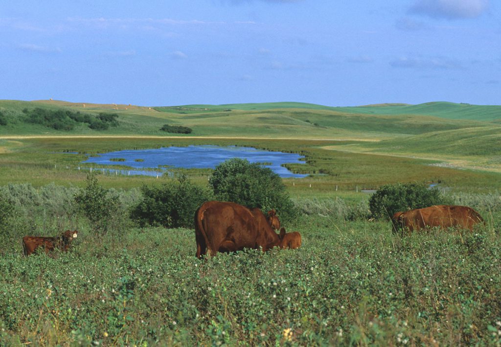 A Guide to the Incentives and Programs Available for Prairie Working ...