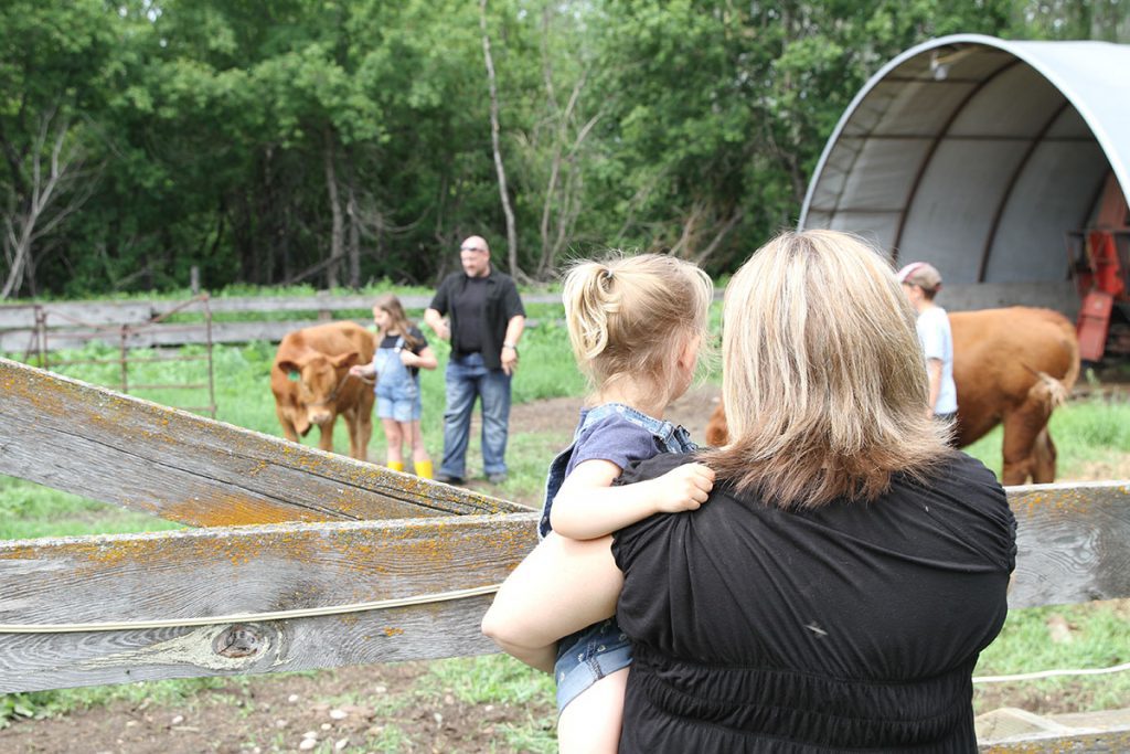 Low Stress Cattle Handling Course | Canadian Roundtable for Sustainable ...
