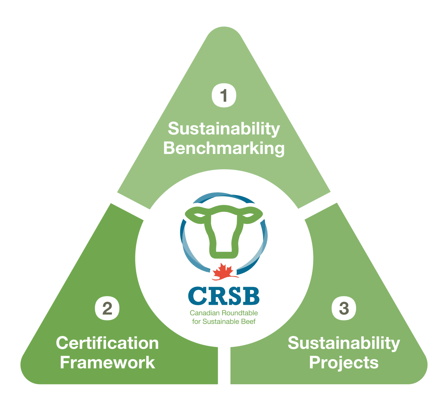 About Us and Our Vision | Canadian Roundtable for Sustainable Beef